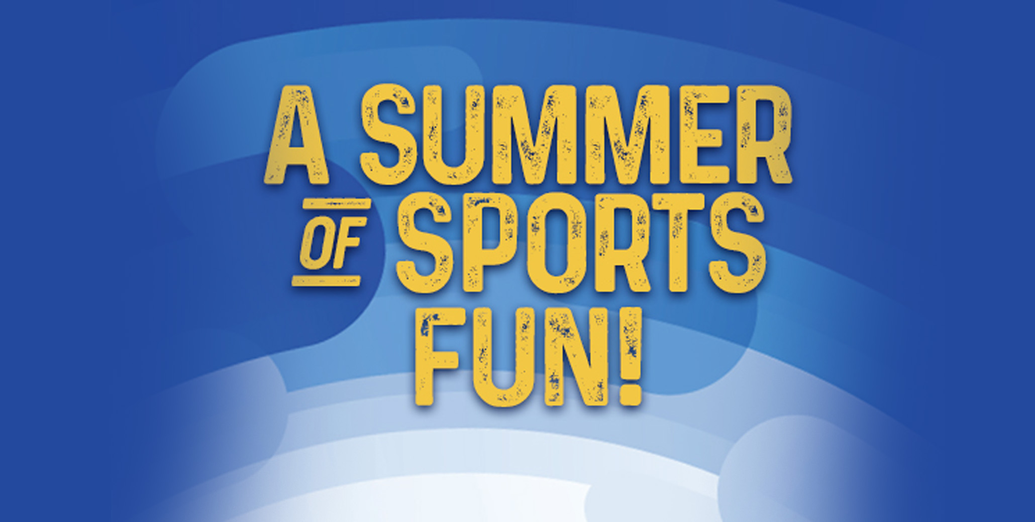 Discover Elevate CNY's Diverse Summer 2024 Programming | Elevate CNY ...